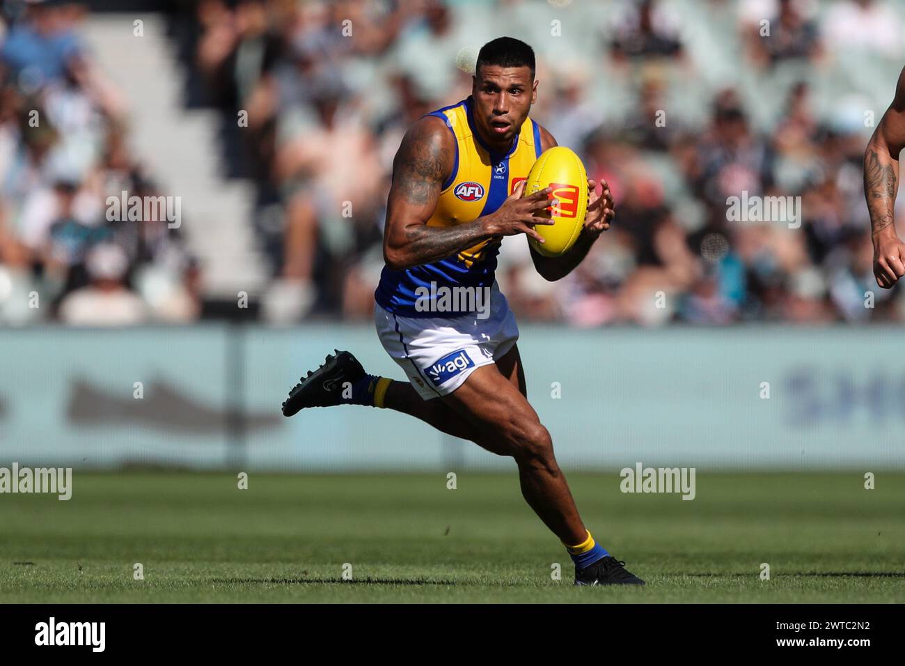 Adelaide, Australia. 17th Mar, 2024. Tim Kelly of the Eagles during the ...