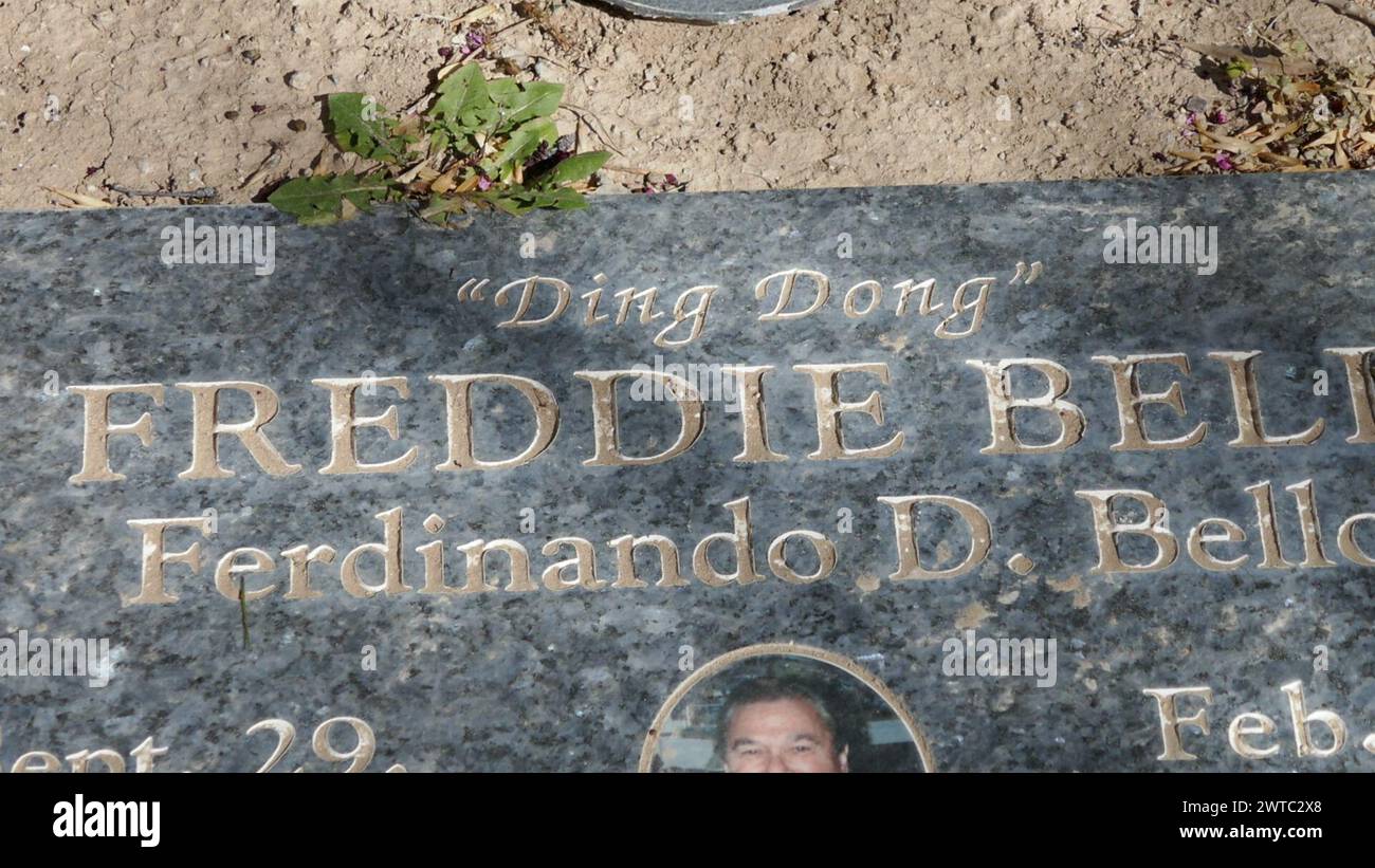 Las Vegas, Nevada, USA 8th March 2024 Singer/Musician Freddie Bell ...