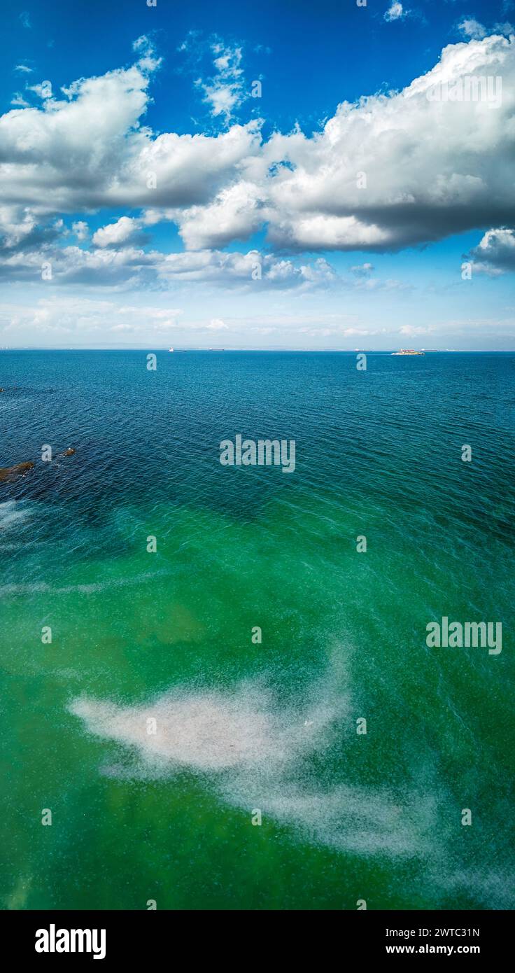 Drone view at Huge flock of jellyfish teeming in the green water of ...