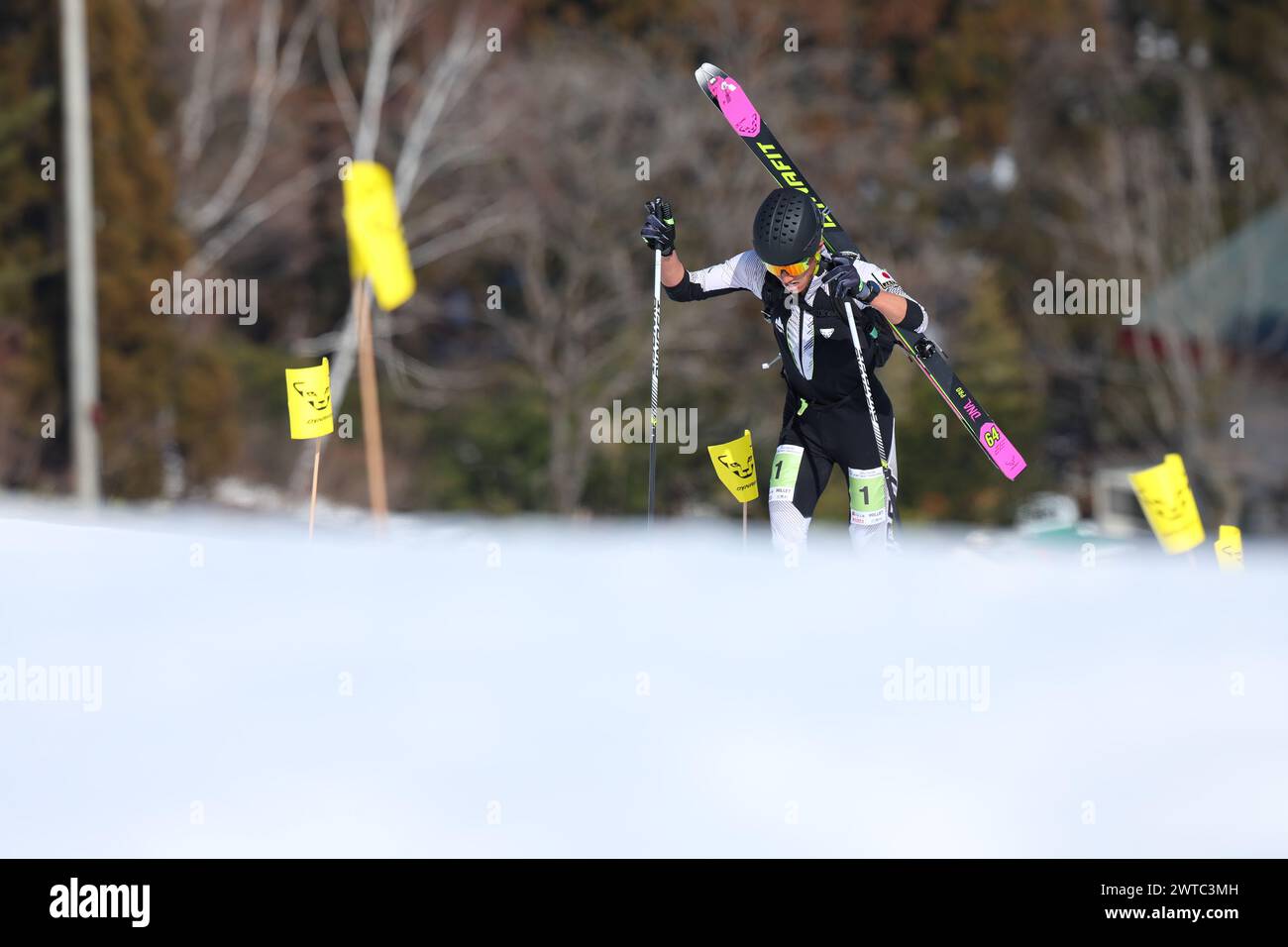 Nagano, Japan. 16th Mar, 2024. Tokutaro Shima Ski Mountaineering ...