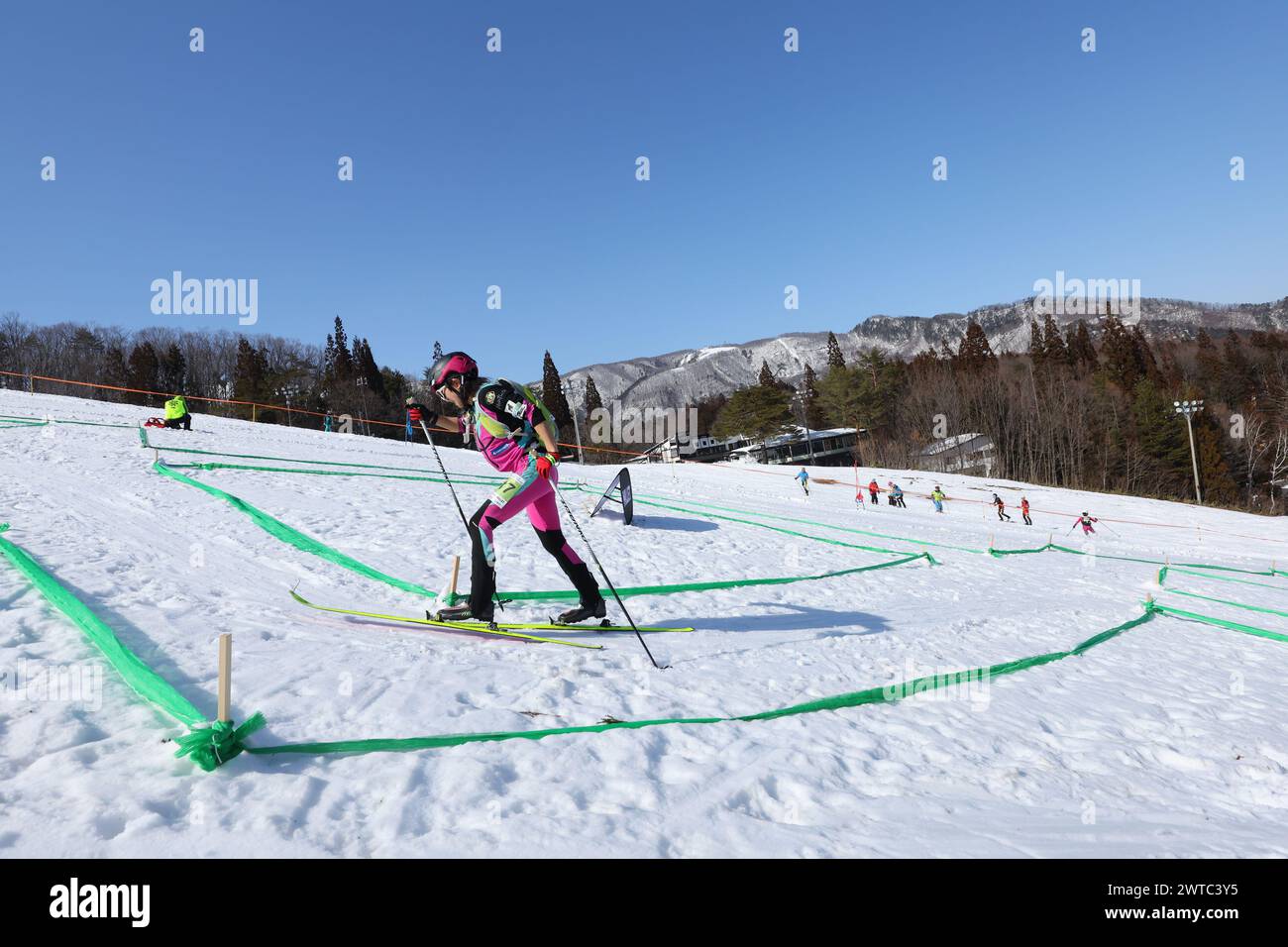 Nagano, Japan. 16th Mar, 2024. Yurie Tanaka Ski Mountaineering : SKIMO ...