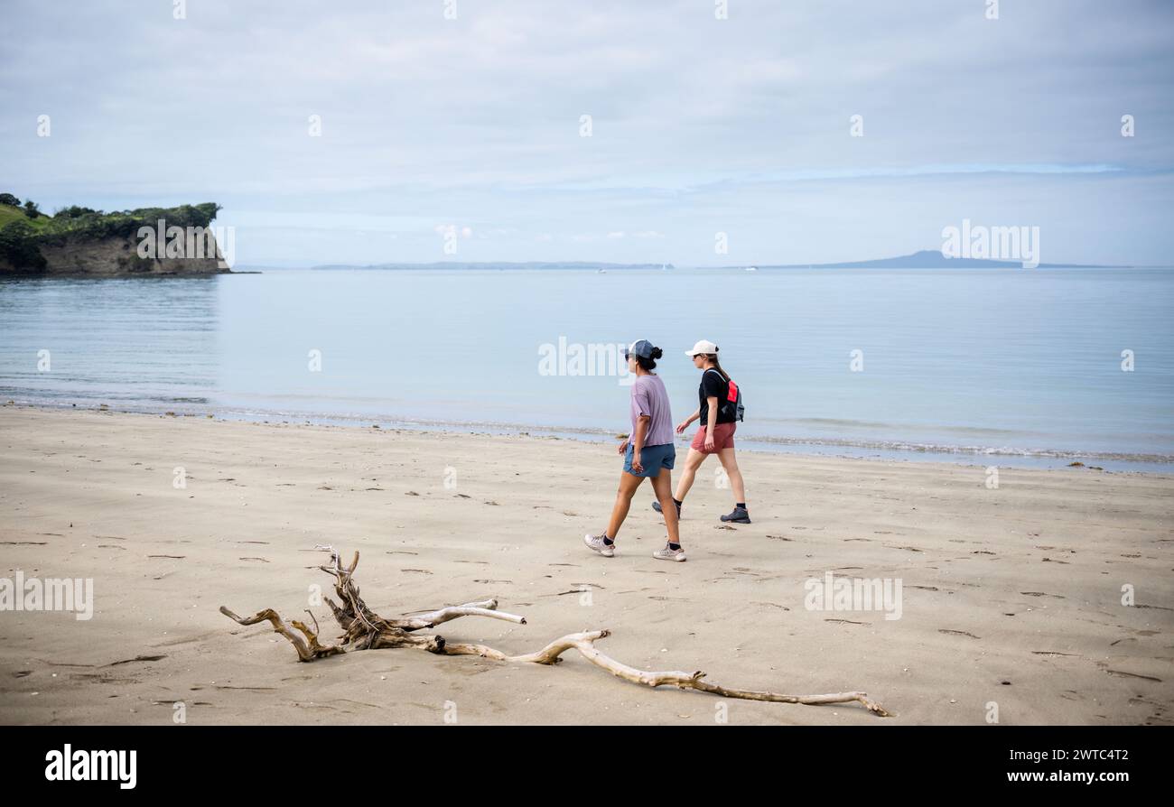 Two women hiking Shakespear Regional Park, Rangitoto Island in the ...
