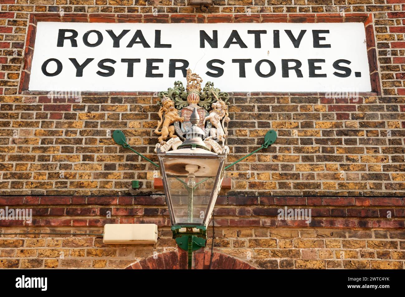 Royal whitstable native oyster hi-res stock photography and images - Alamy