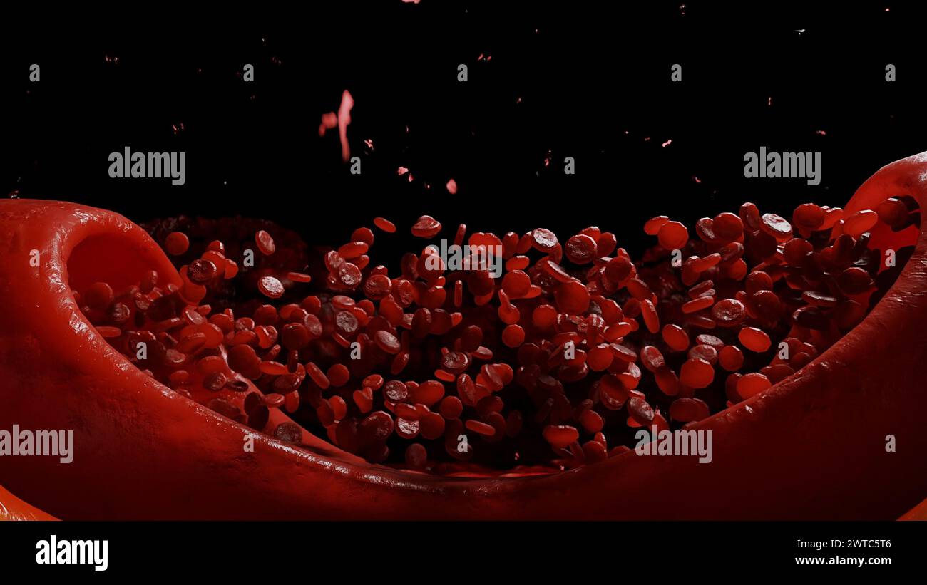 blood stream. red blood cells. Inside human body. 3d rendering Stock ...