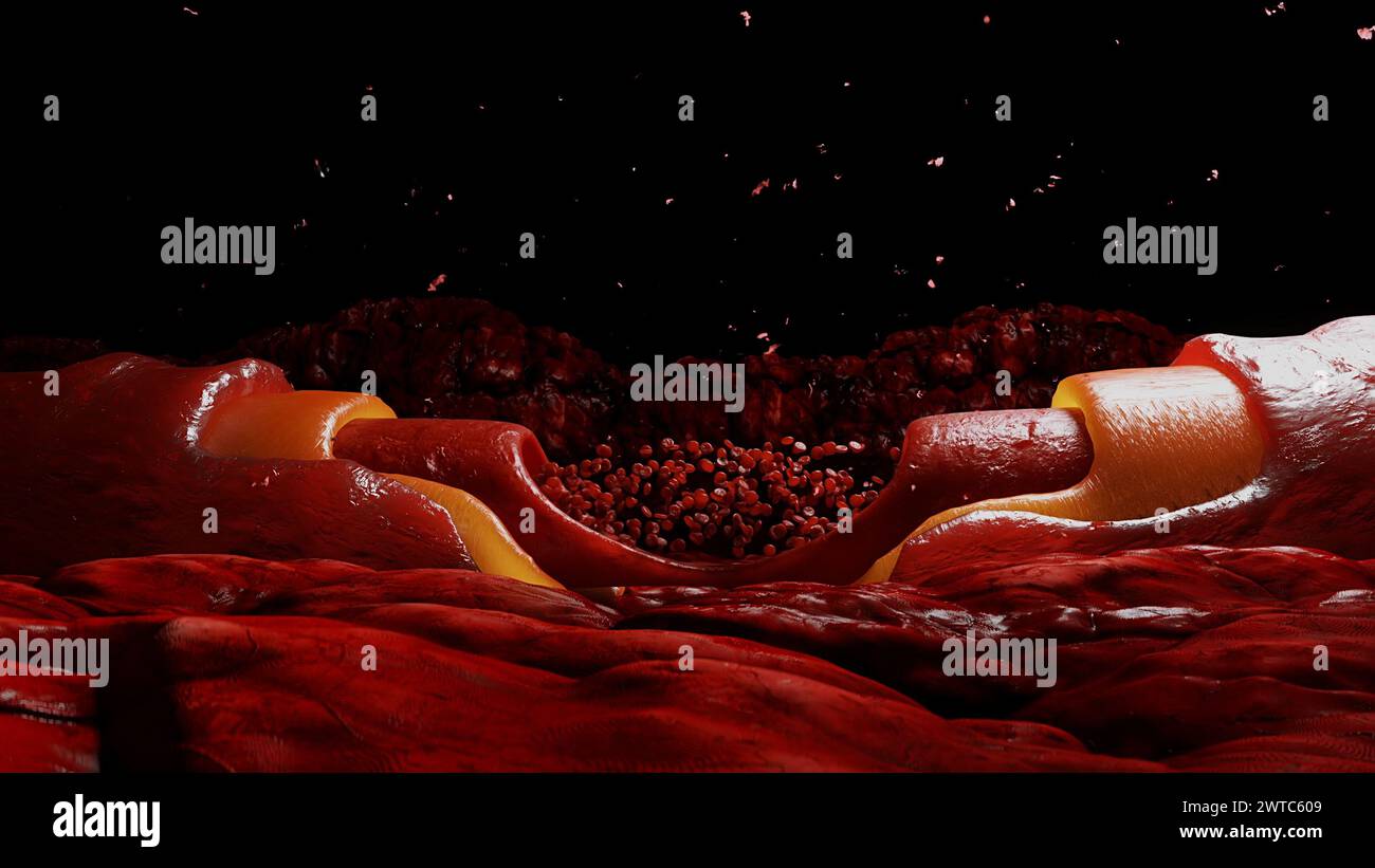 blood stream. red blood cells. Inside human body. 3d rendering Stock ...