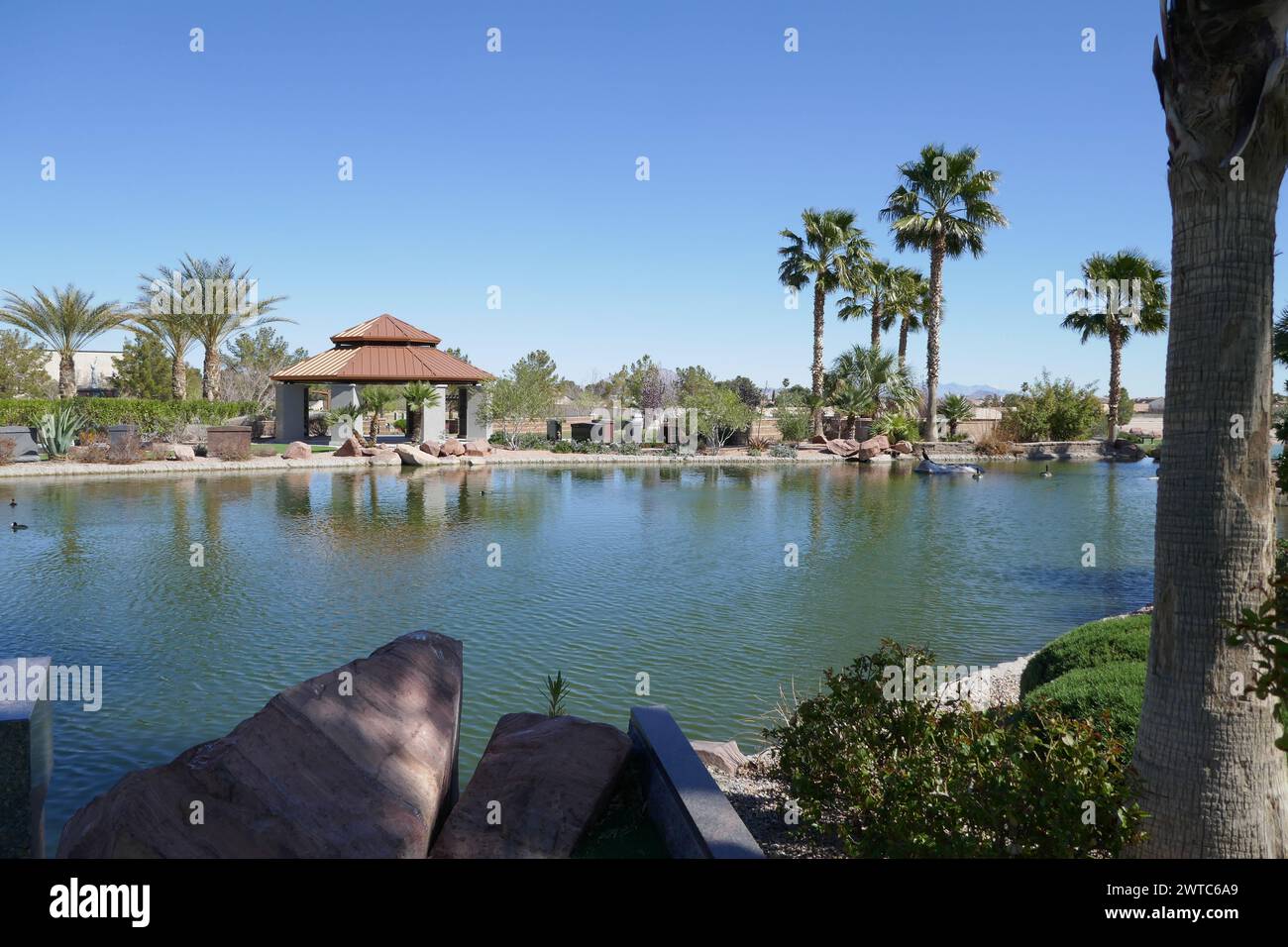 Las Vegas, Nevada, USA 8th March 2024 Entertainment Journalist Robin ...