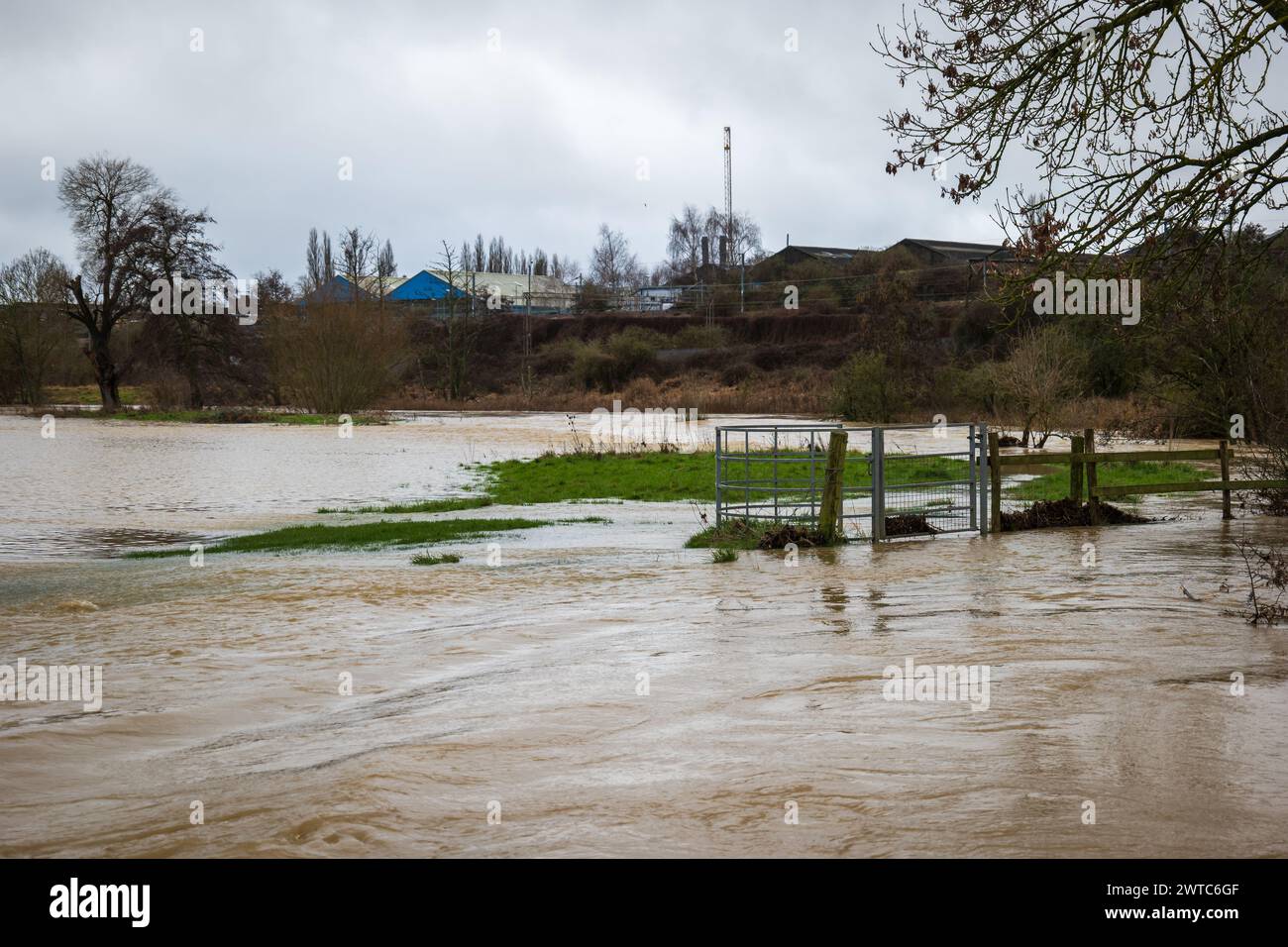 River nene northampton flooding hi-res stock photography and images - Alamy