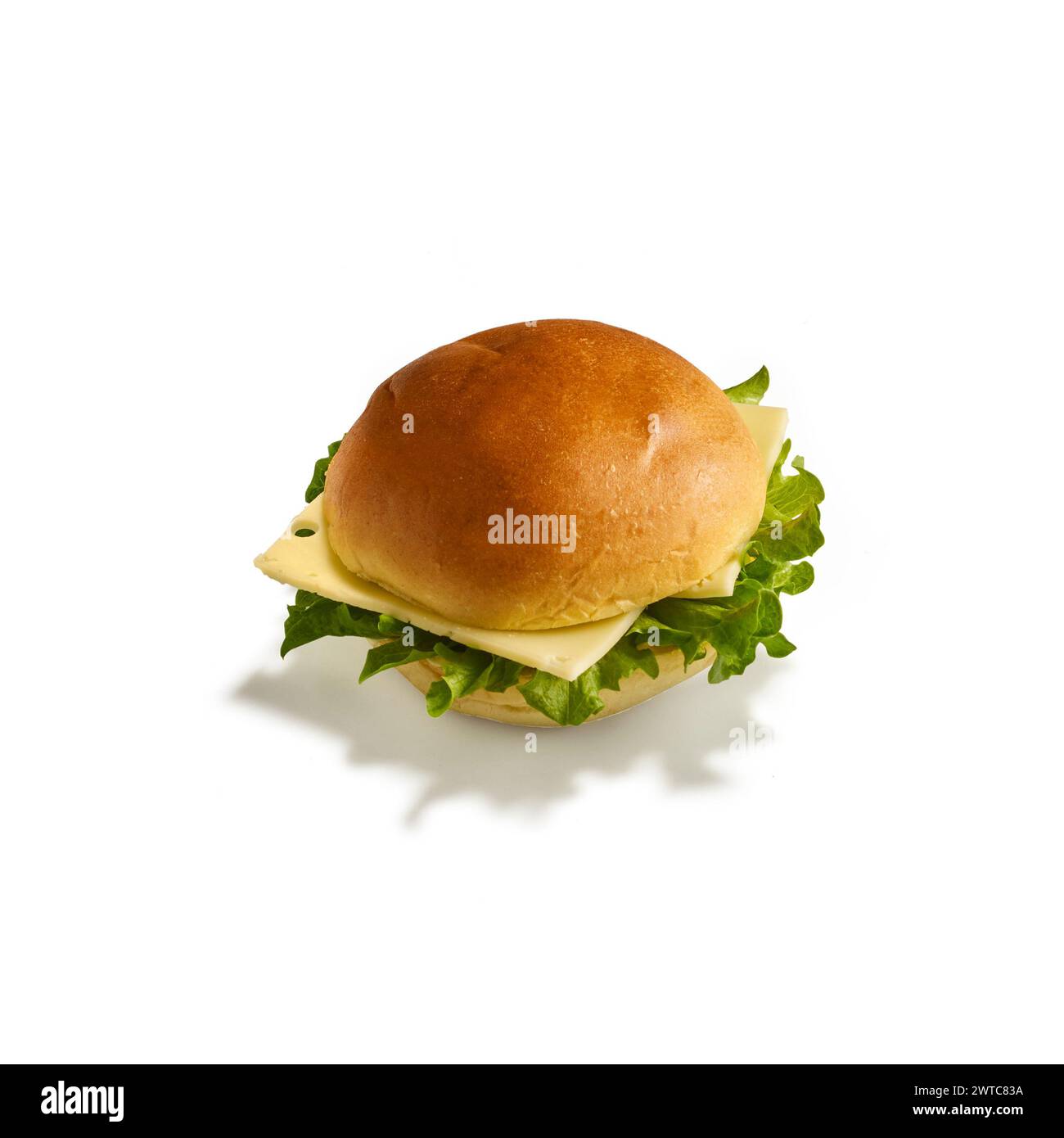 Fast food isolated on white background. burger top view. closeup of ...