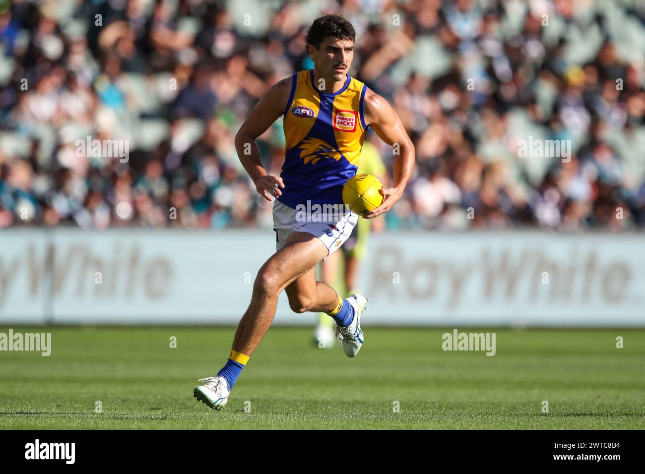 Adelaide, Australia. 17th Mar, 2024. Tom Cole of the Eagles during the ...