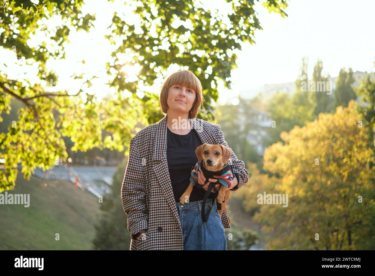 Owner walking with dog together in park outdoors, summer vacation ...