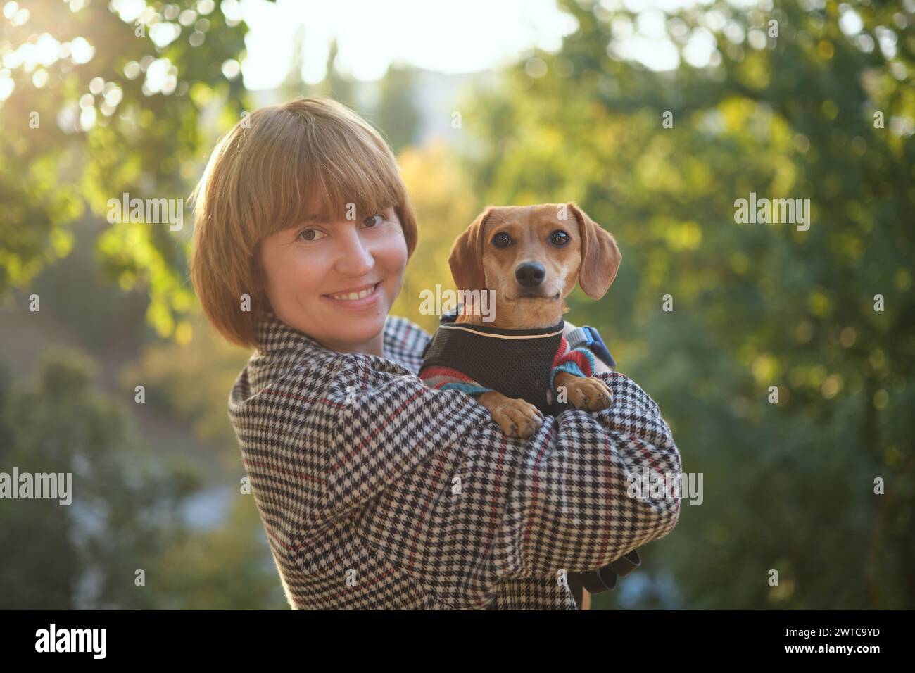 Owner walking with dog together in park outdoors, summer vacation ...