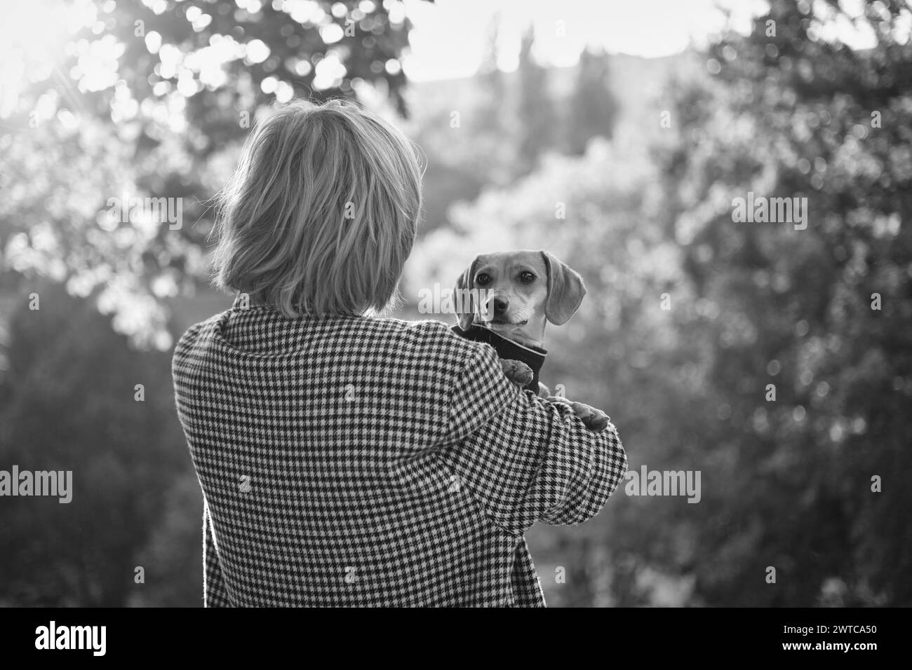 Owner walking with dog together in park outdoors, summer vacation ...