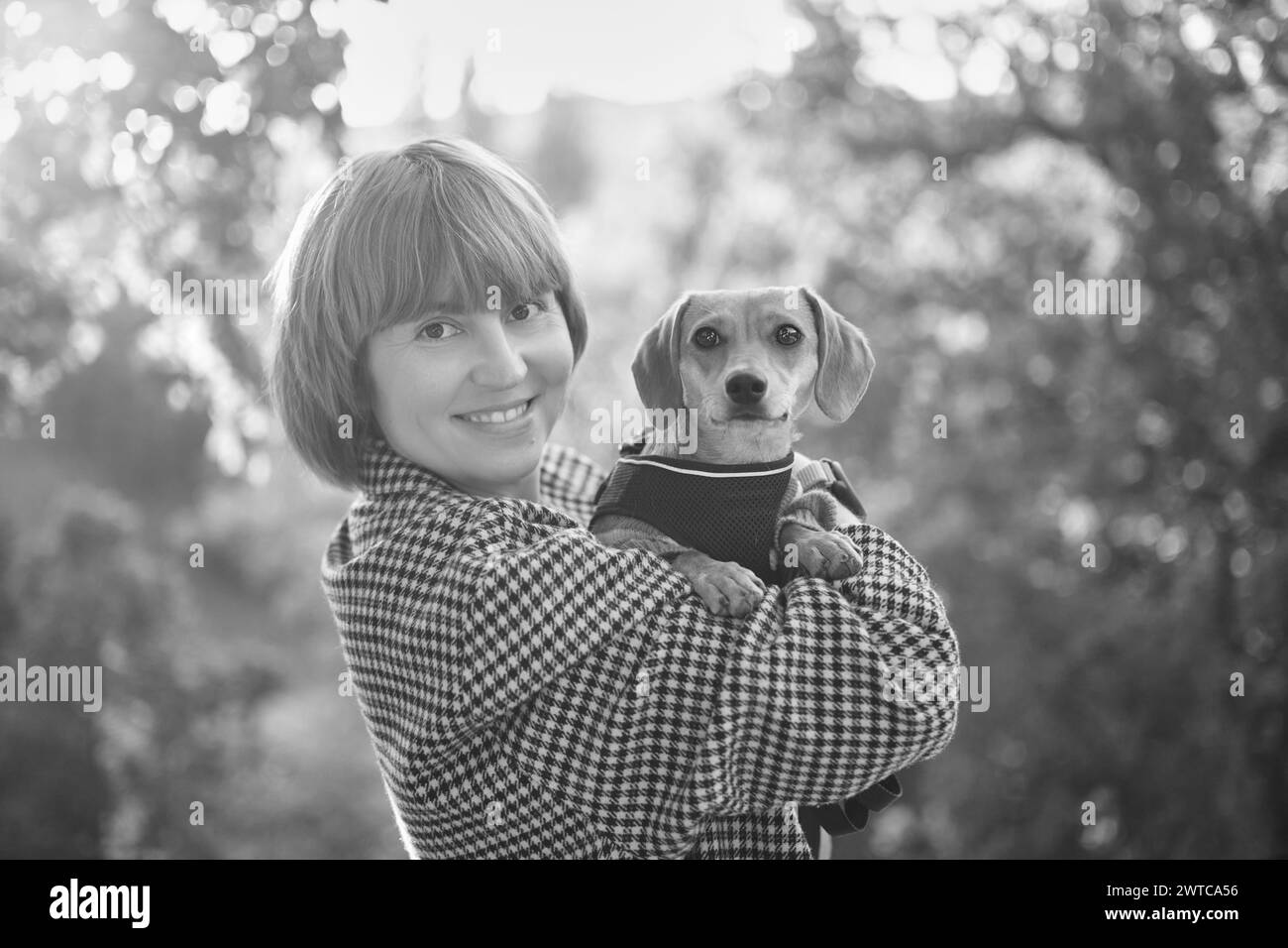 Owner walking with dog together in park outdoors, summer vacation ...