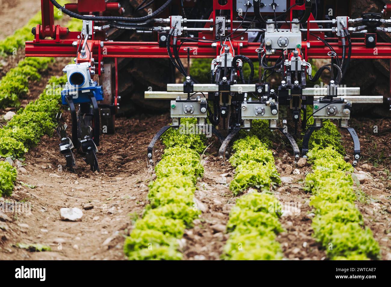 Farmer working agriculture weeding machine hi-res stock photography and ...
