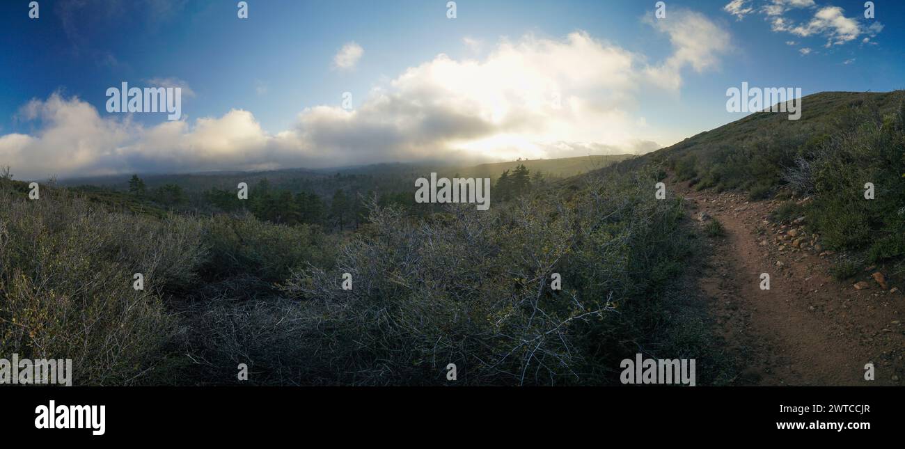 A beautiful landscape with a cloudy sky and a path leading up a hill ...