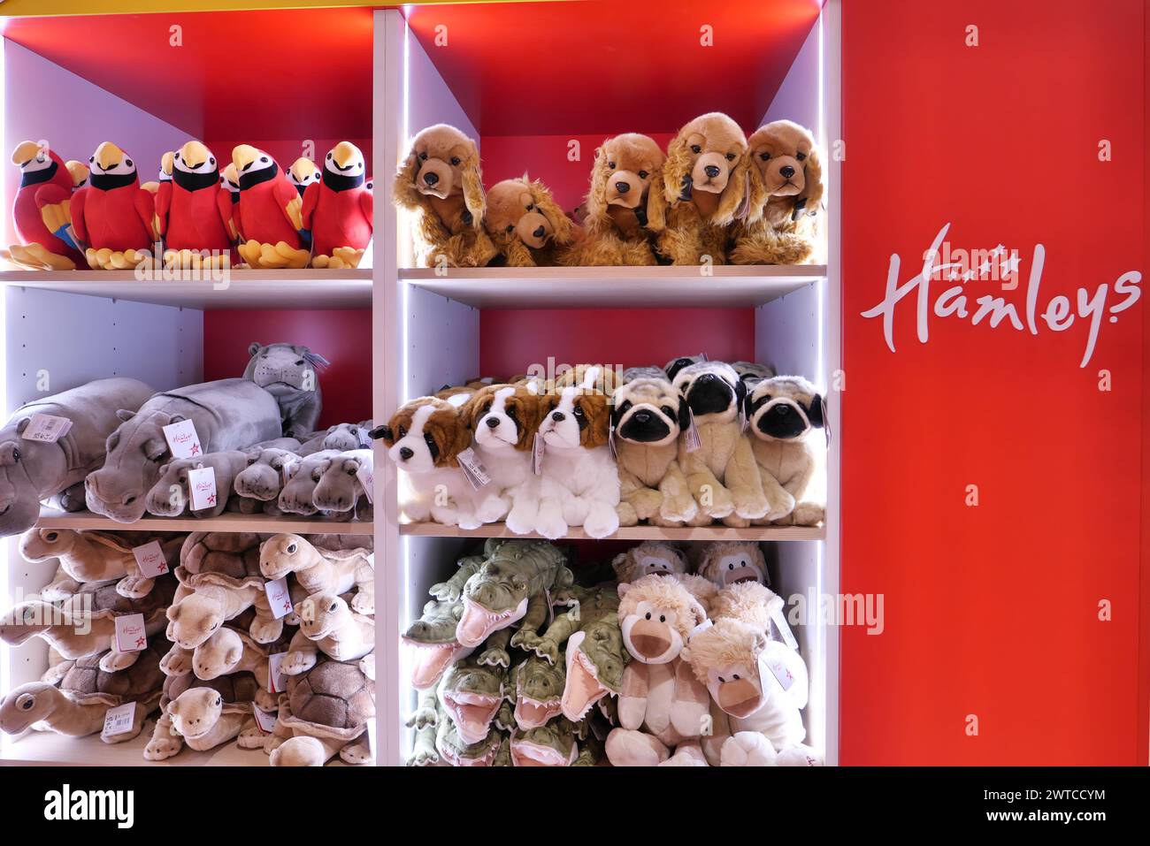 TEDDY BEARS ON DISPLAY INSIDE THE HAMLEYS TOY STORE Stock Photo - Alamy