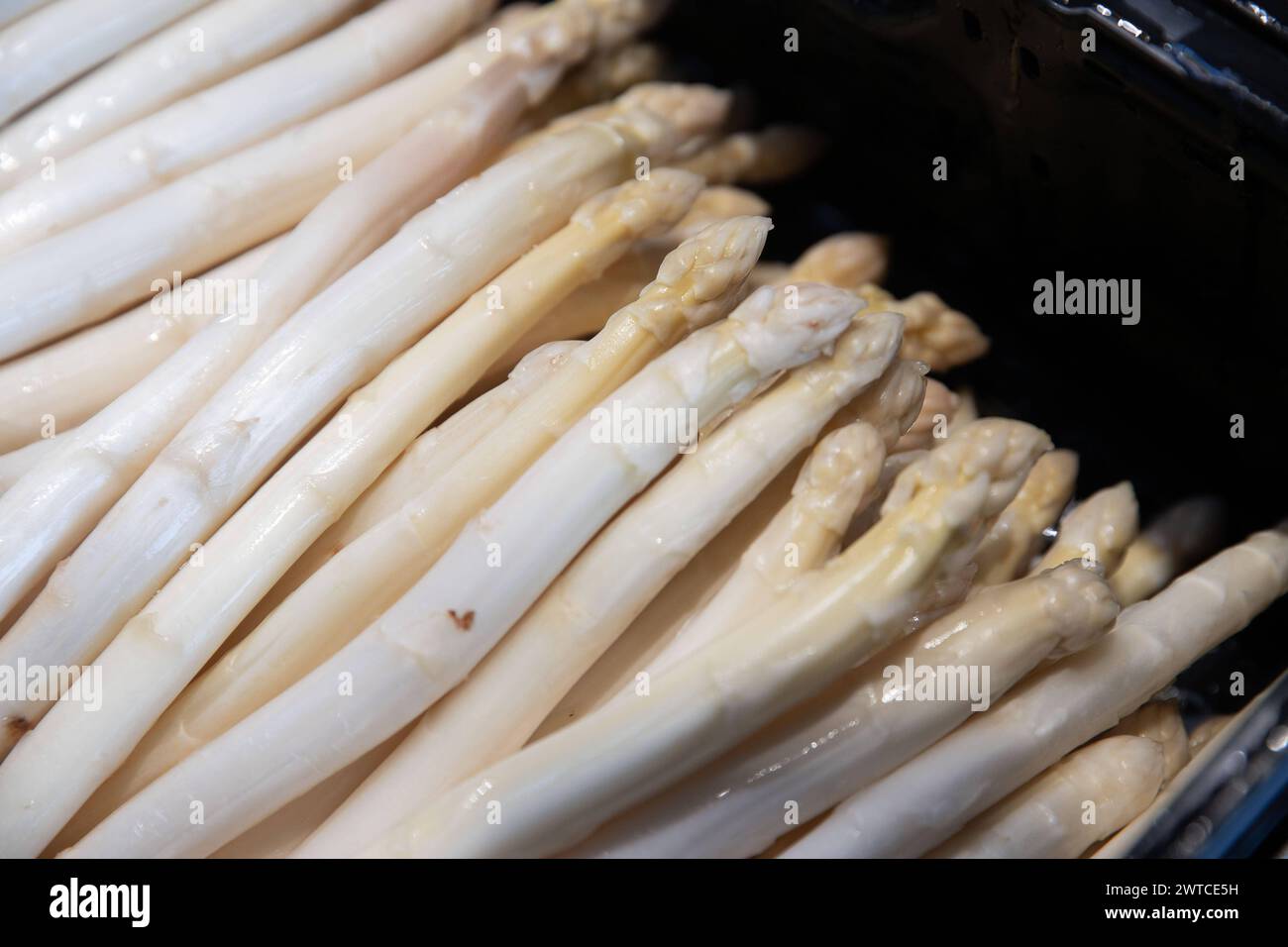 Erster Lampertheimer Spargel ist da Beim Hofgut Christiane Hartmann ...