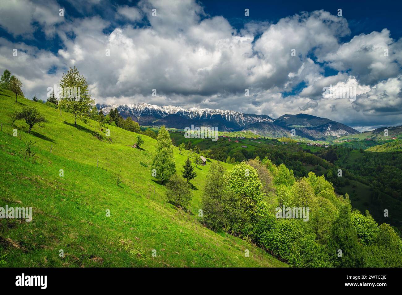 Beautiful summer alpine landscape with green forest on the slope and ...