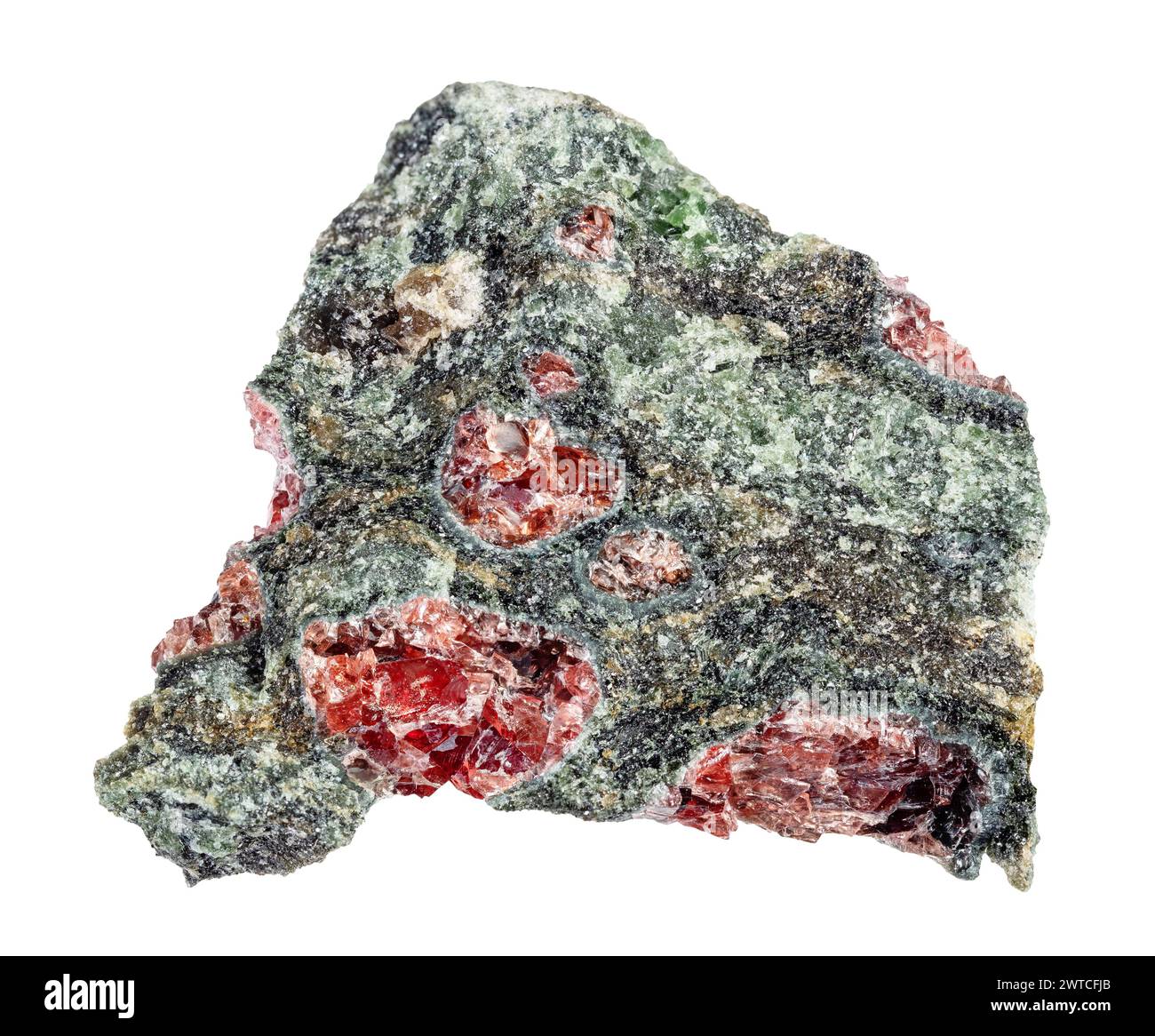 specimen of natural pyrope garnets in raw stone cutout on white ...