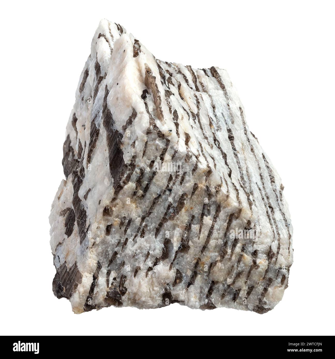 specimen of natural raw written granite rock cutout on white background ...