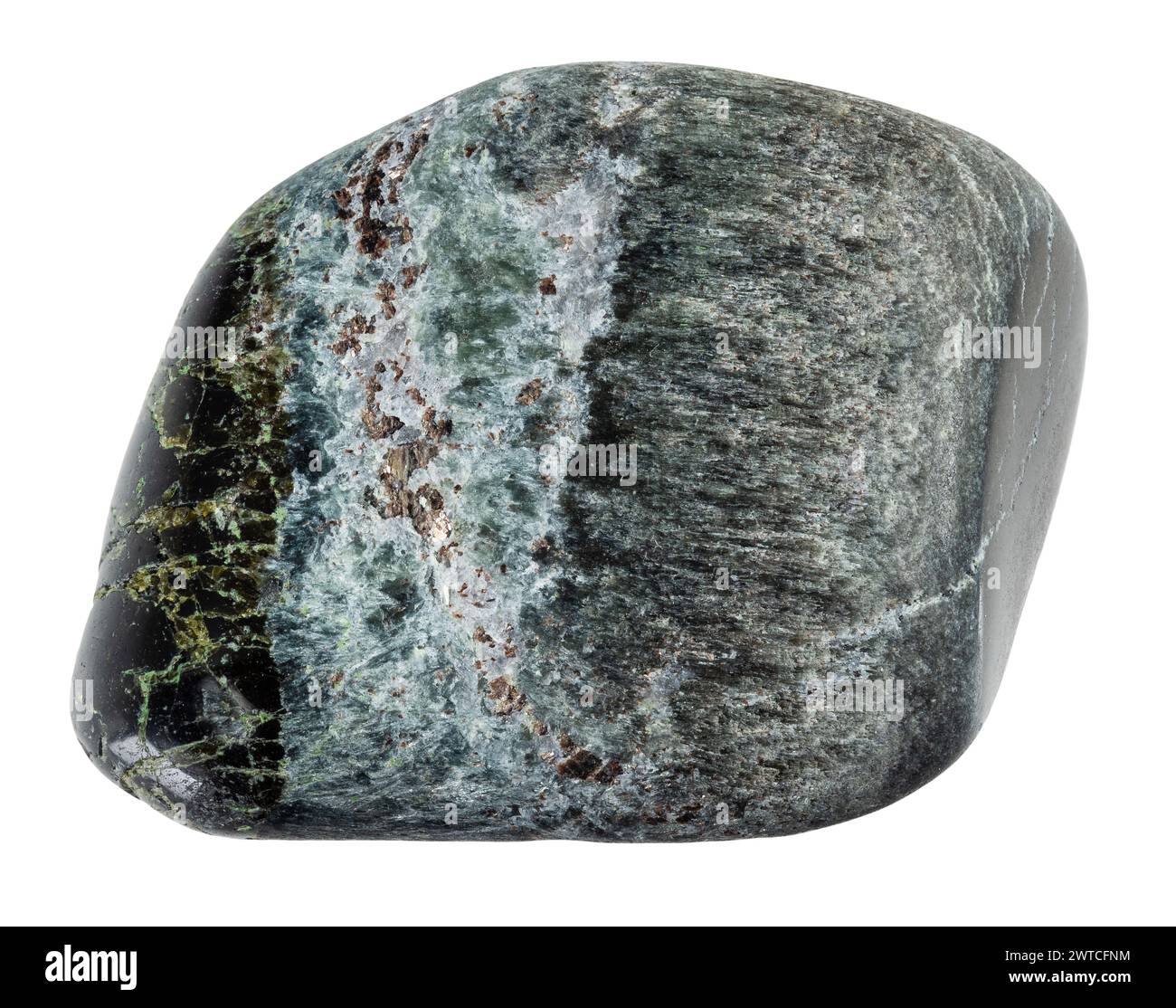 specimen of natural tumbled richterite and diopside rock cutout on ...