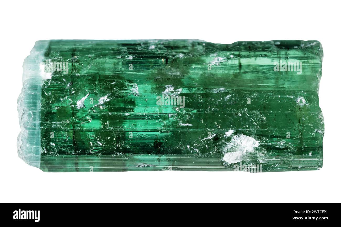 specimen of natural verdelite tourmaline crystal cutout on white ...