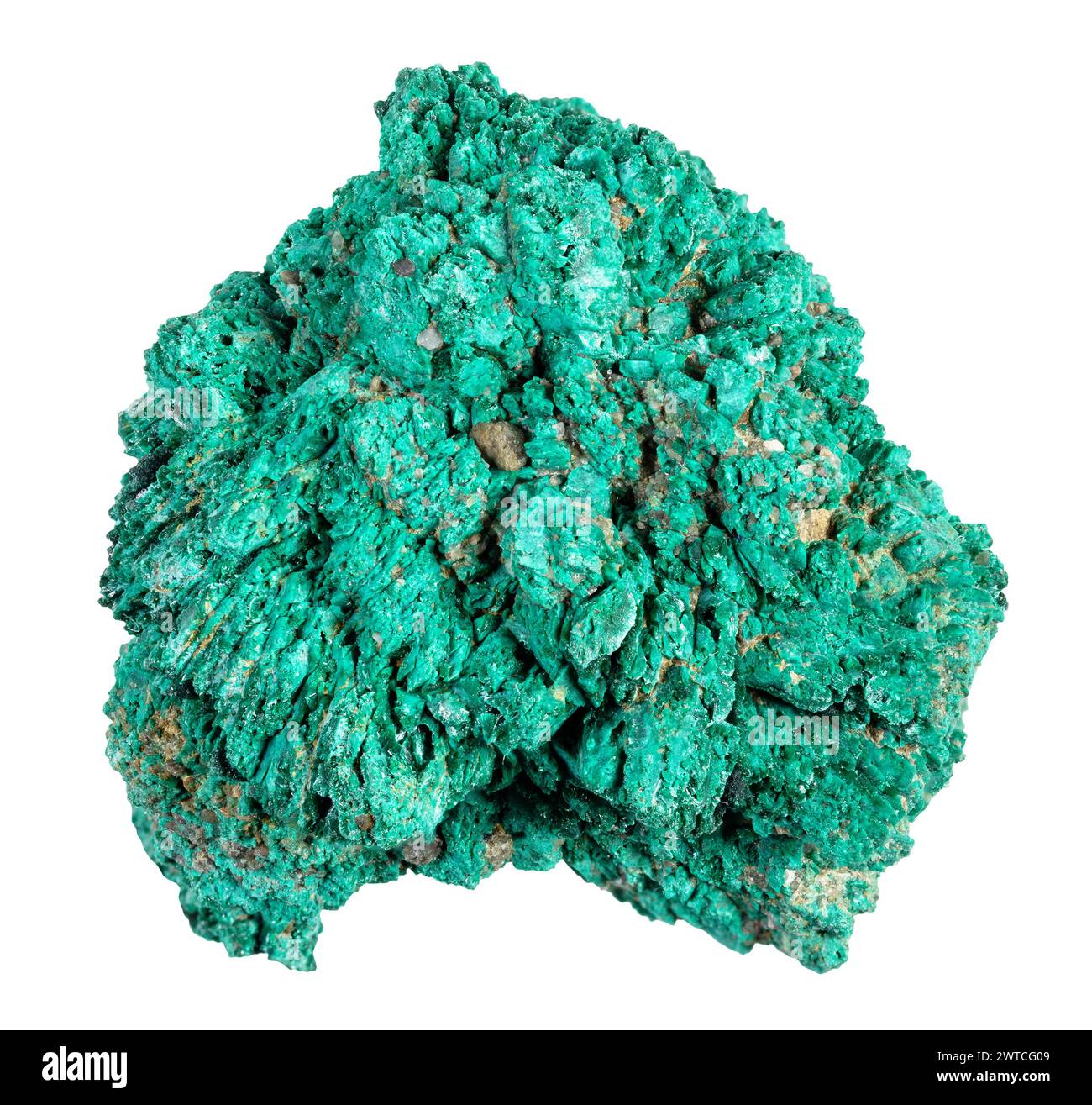 specimen of natural rough malachite rock cutout on white background ...