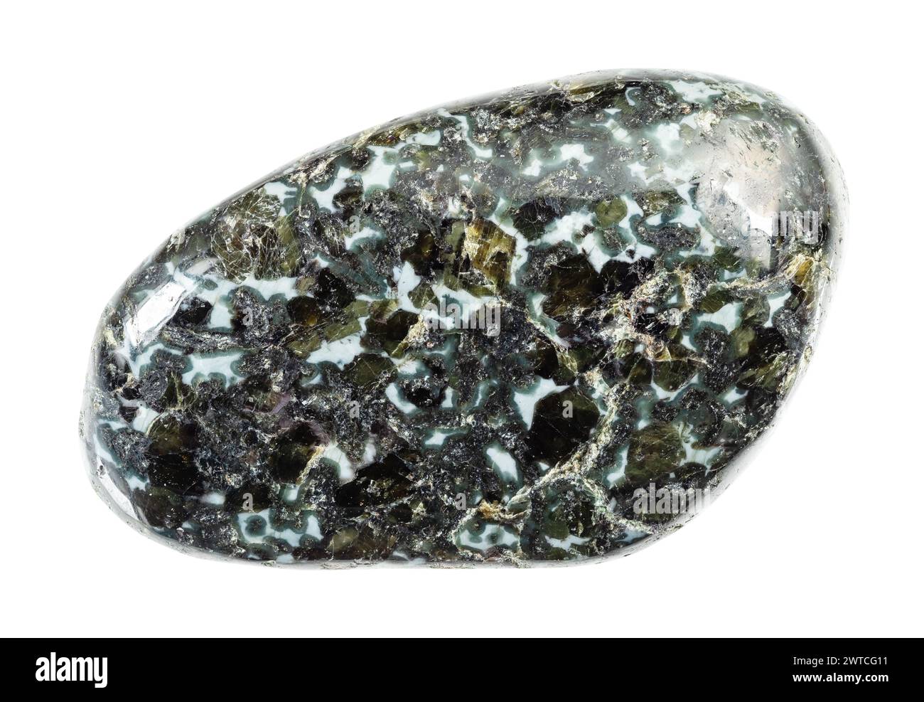 specimen of natural tumbled gabbro norite mineral cutout on white ...