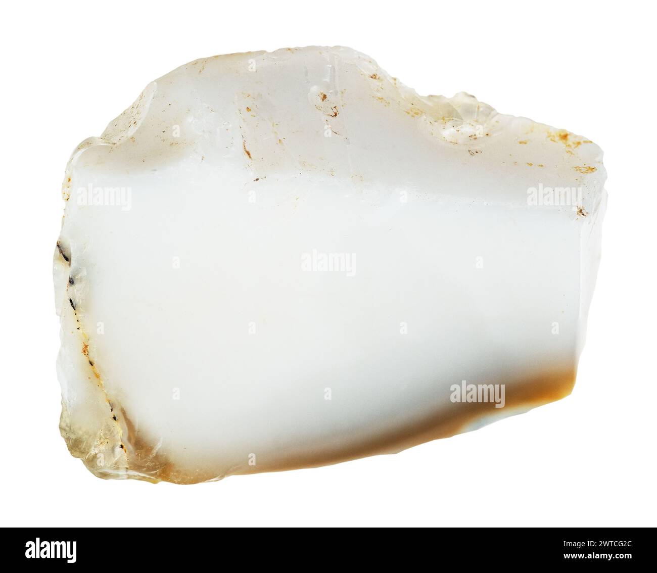 specimen of natural raw white opal mineral cutout on white background ...
