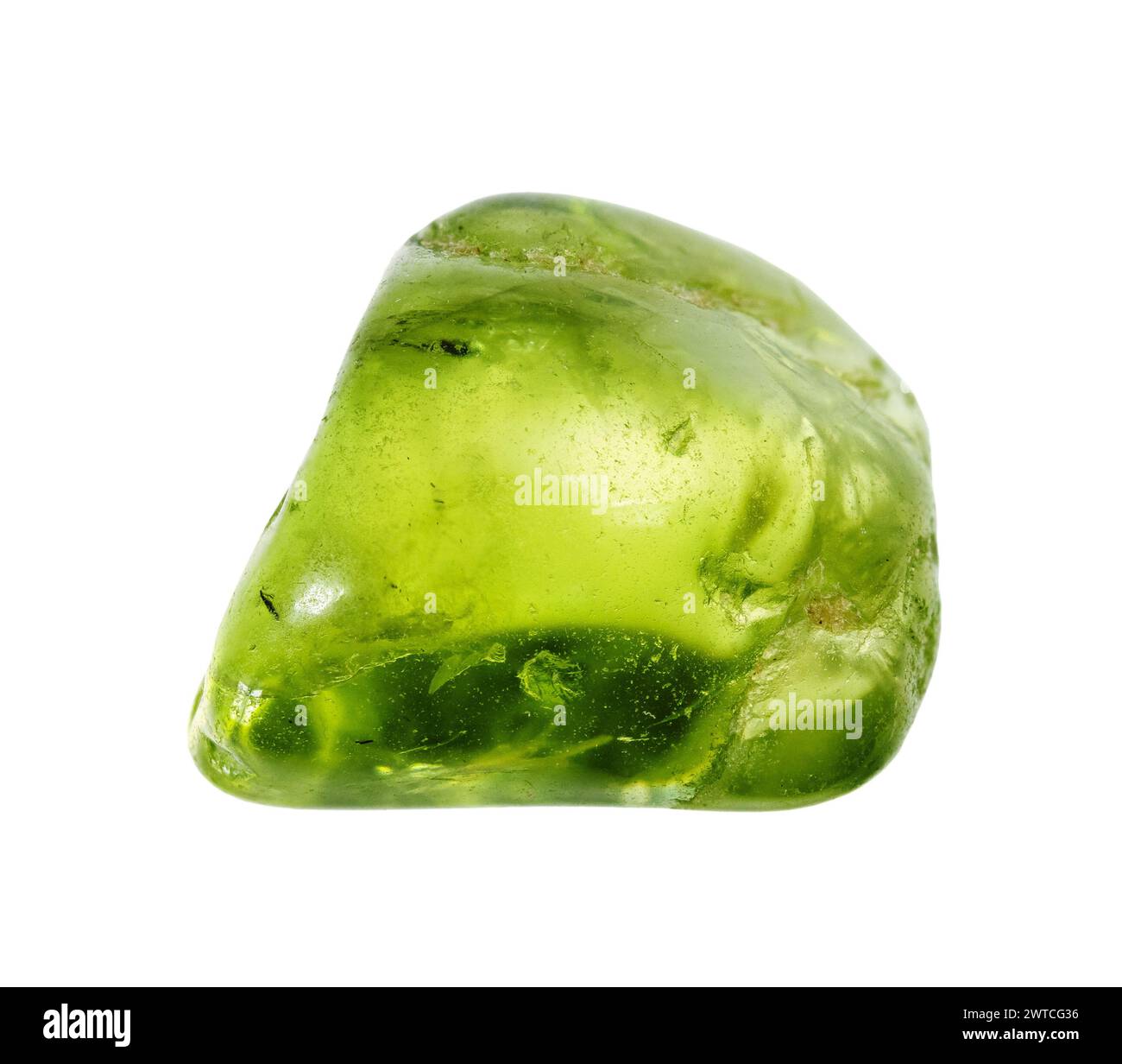 specimen of natural polished peridot crystal cutout on white background ...