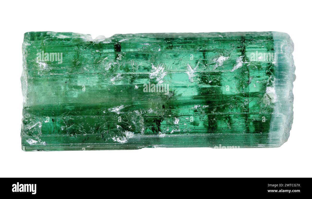 specimen of natural rough verdelite tourmaline crystal cutout on white ...