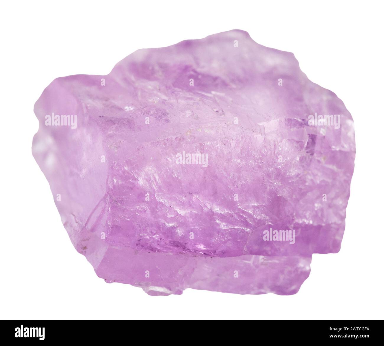 specimen of natural raw kunzite crystal cutout on white background ...