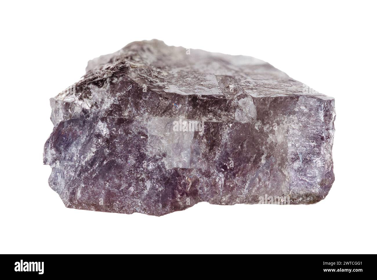 specimen of natural rough purple alexandrite crystal in electric light ...