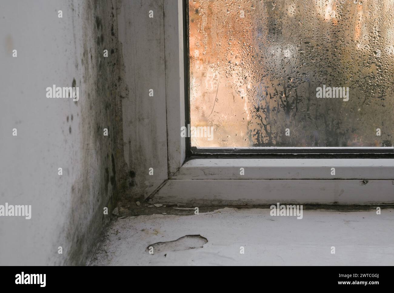 mold and mildew appear on the window Stock Photo - Alamy