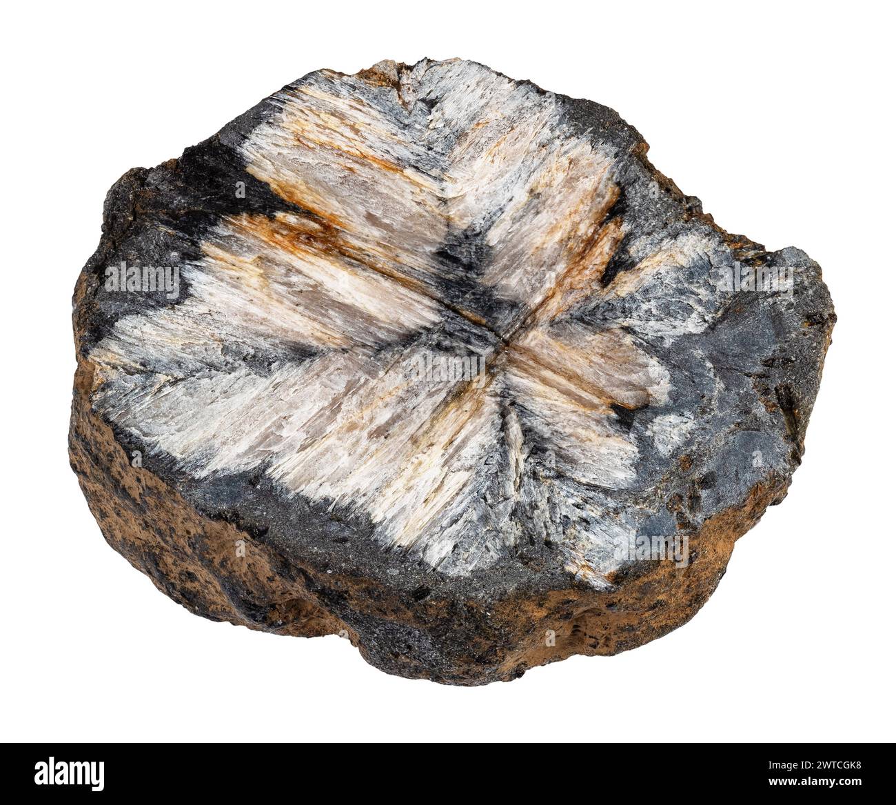 specimen of natural raw chiastolite rock cutout on white background ...