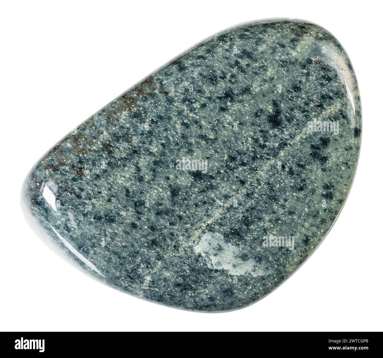 specimen of natural polished green quartzite mineral cutout on white ...