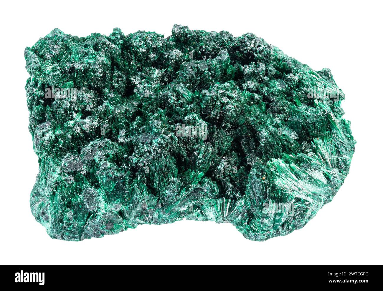 specimen of natural raw needle-shaped malachite mineral cutout on white ...