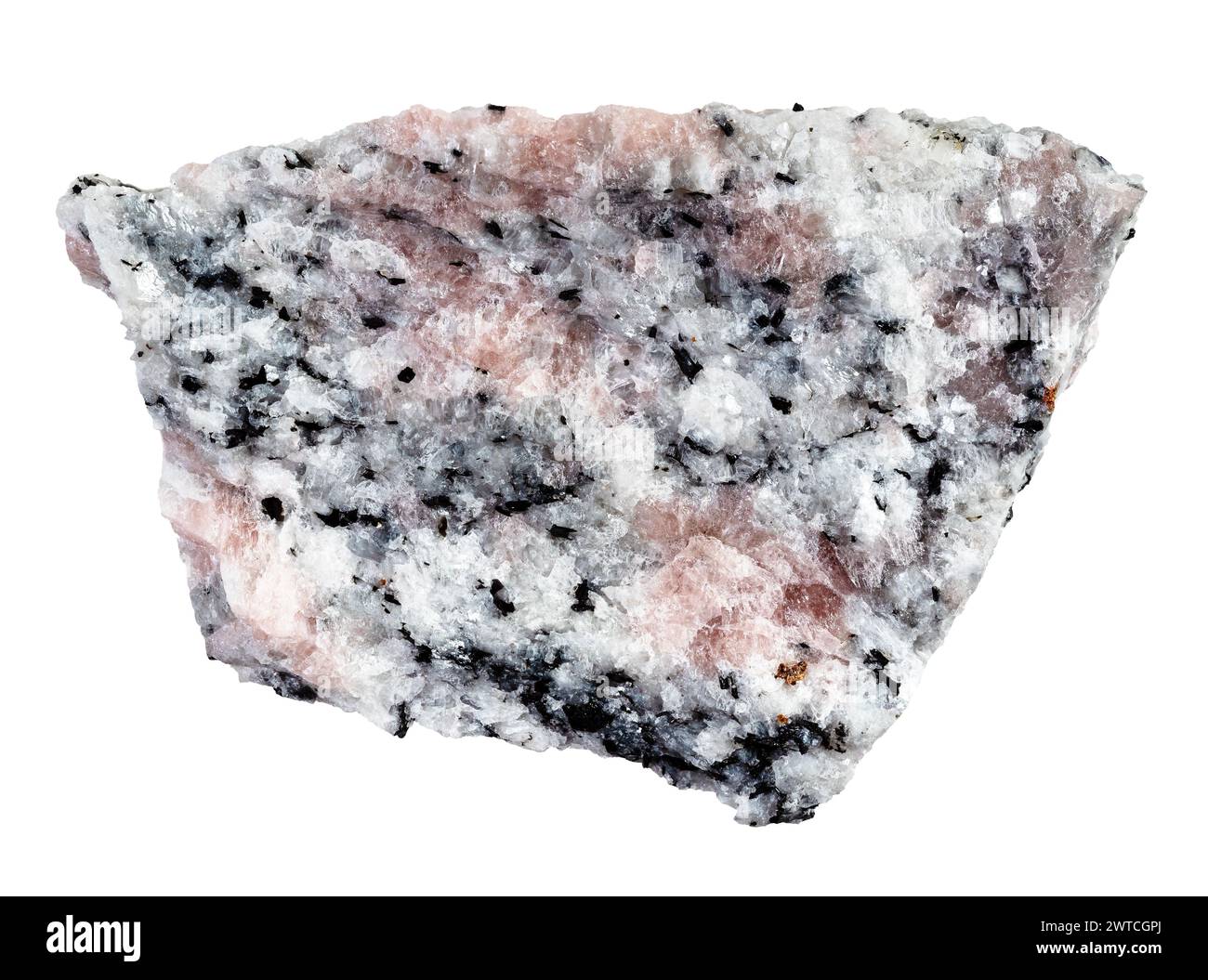 specimen of natural raw miaskite with pink cancrinite mineral cutout on ...