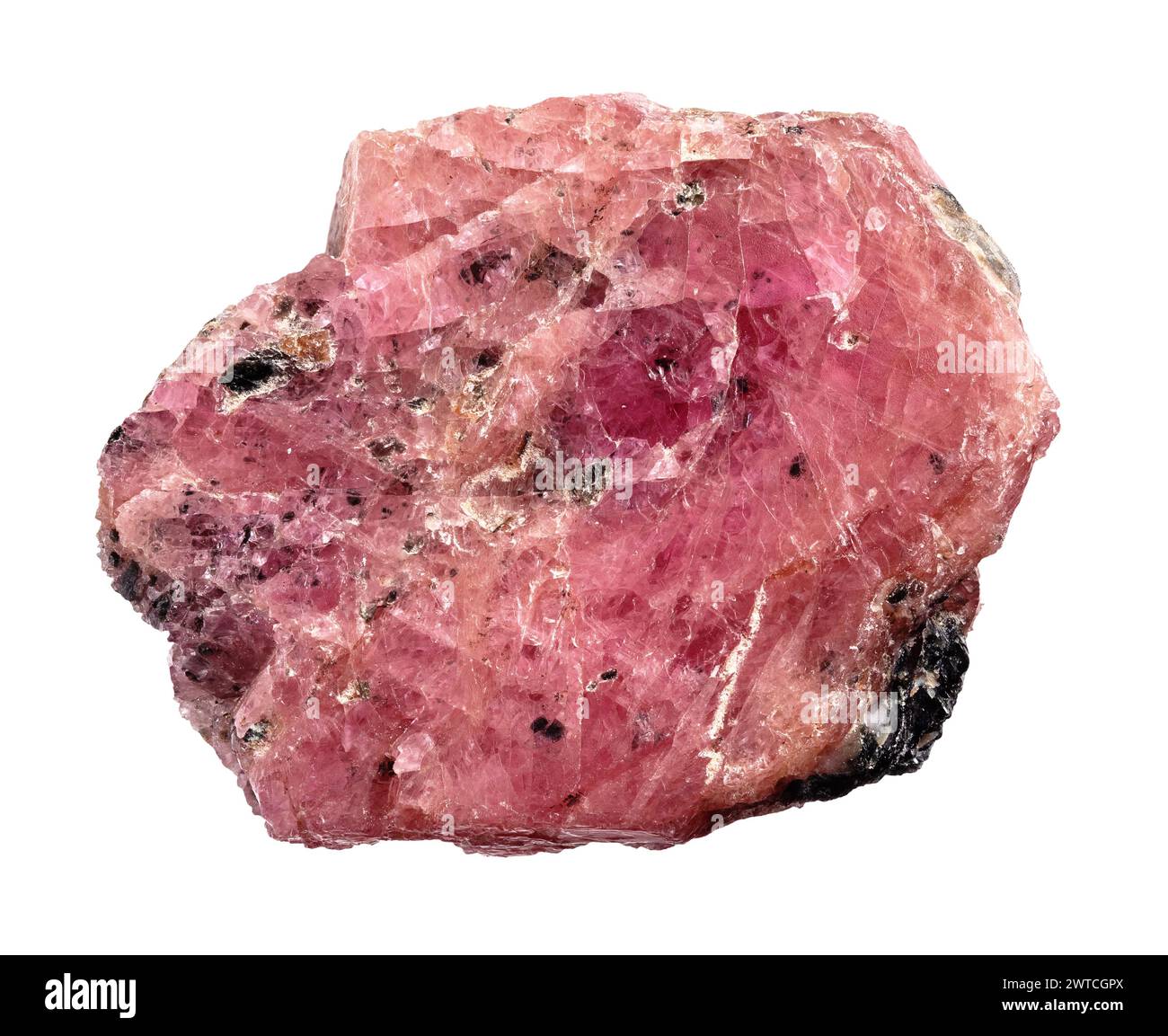 specimen of natural raw red ruby mineral cutout on white background ...