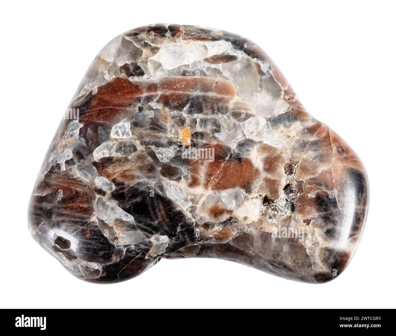 specimen of natural polished monzonite mineral cutout on white ...