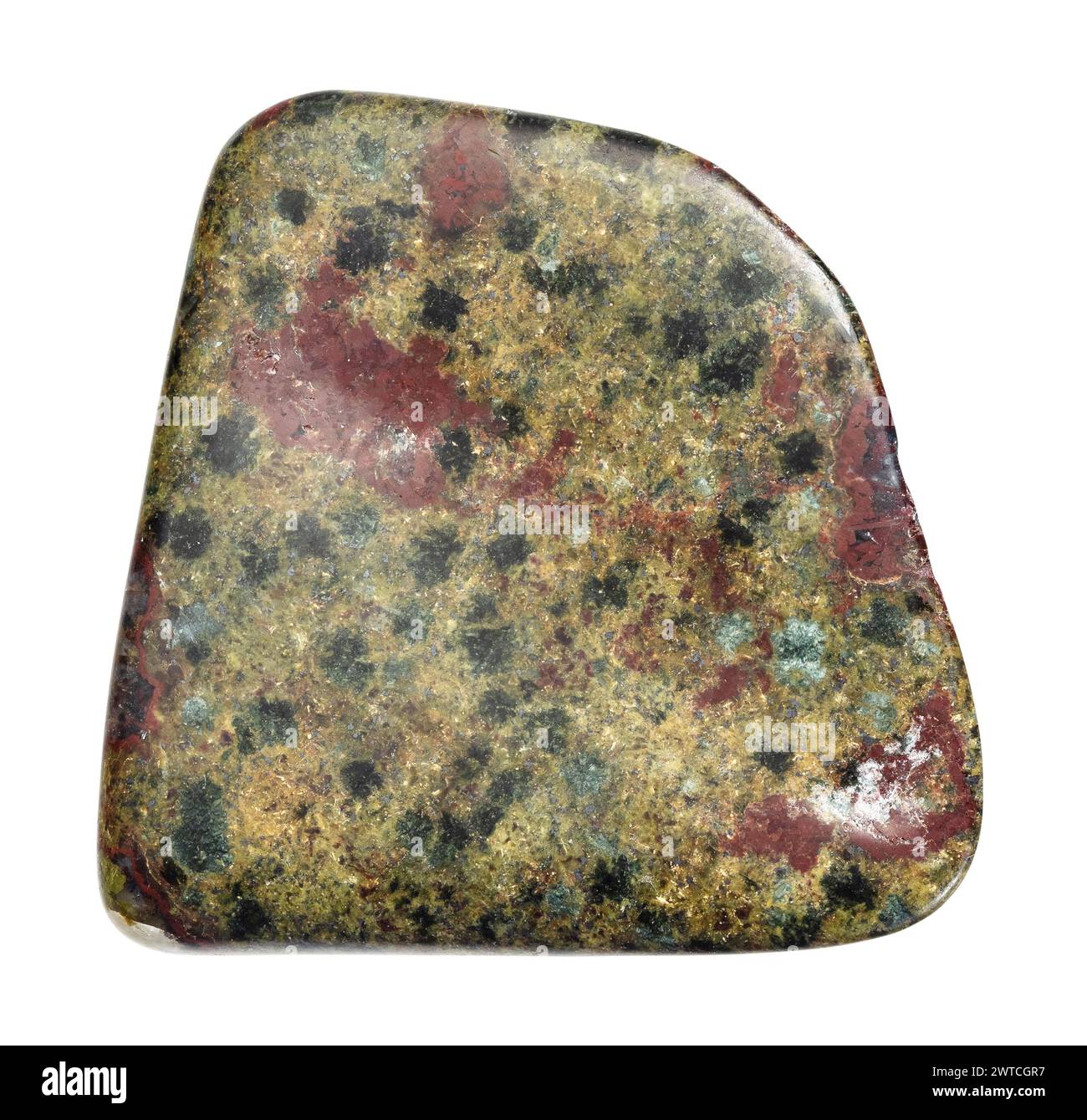 specimen of natural polished epidosite rock cutout on white background ...