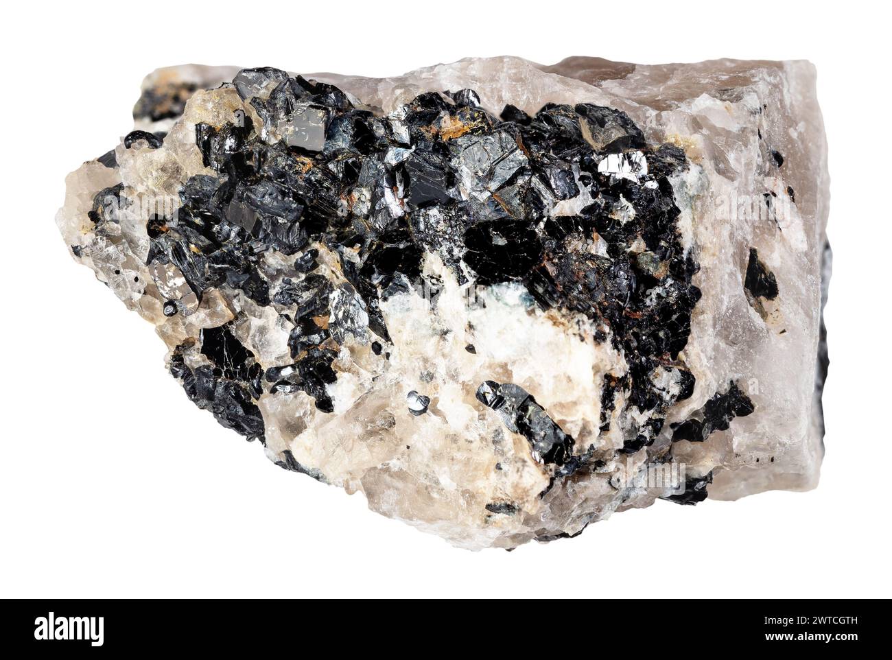 specimen of natural raw annite mica in cryolite mineral cutout on white ...