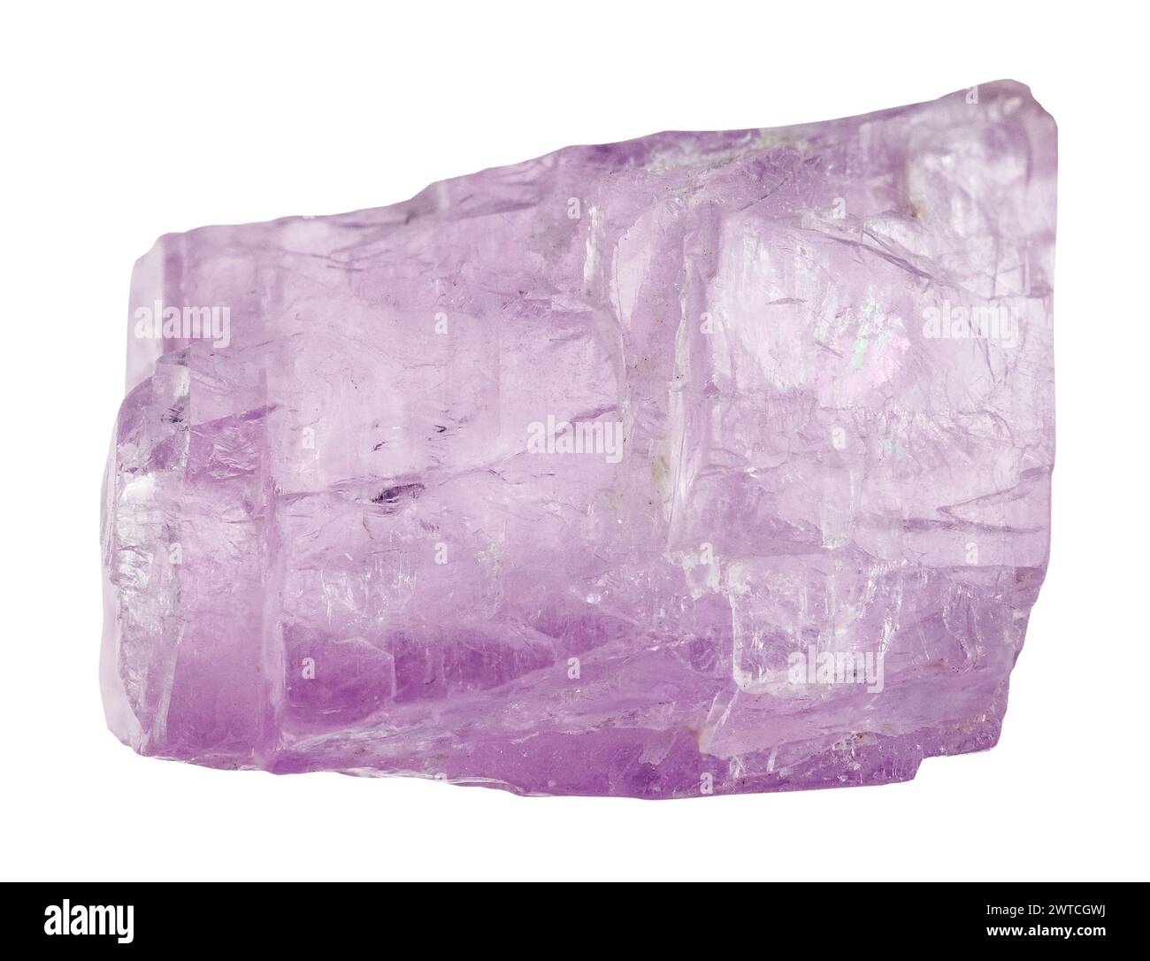 specimen of natural rough kunzite crystal cutout on white background ...