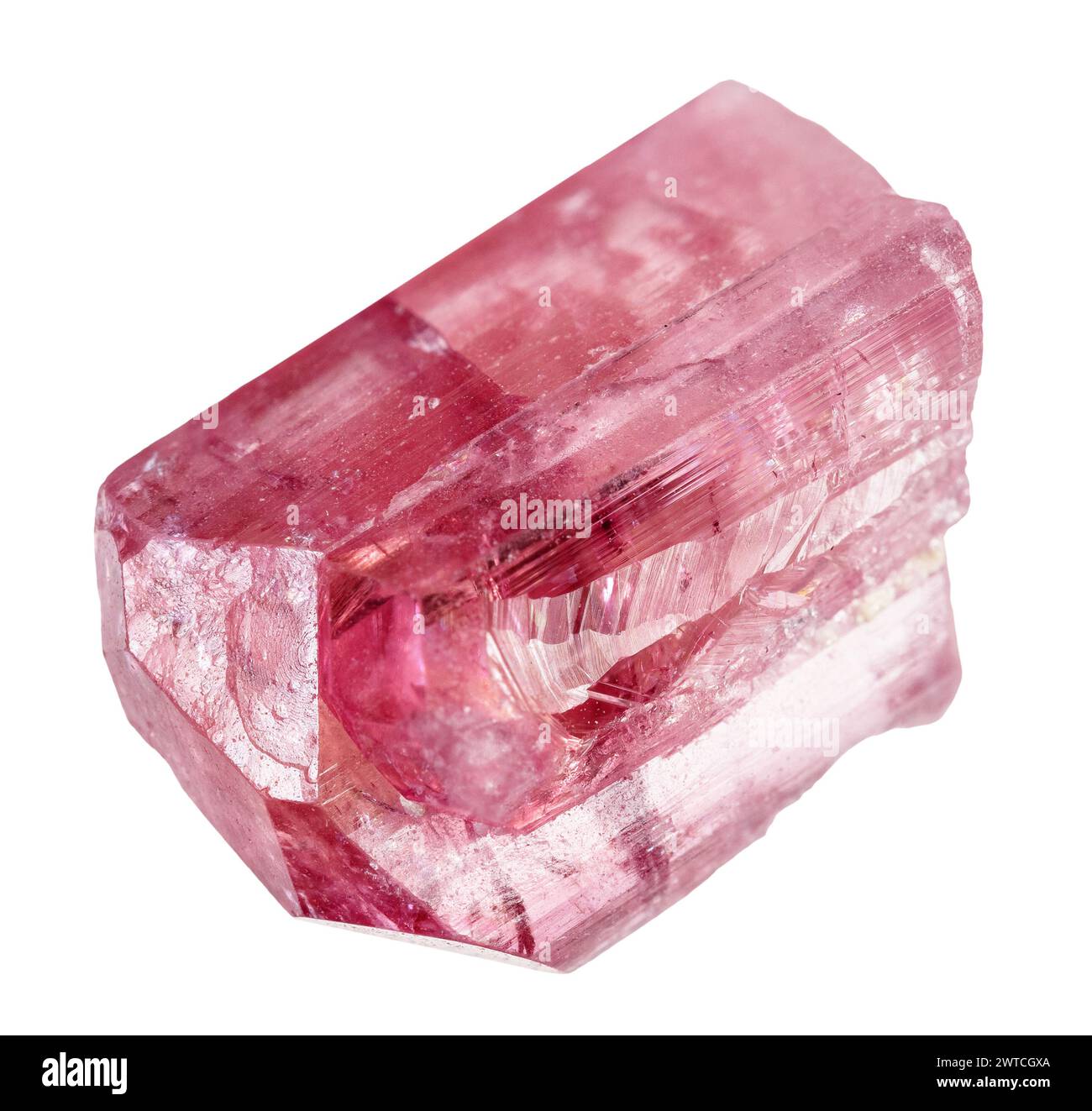 specimen of natural rubellite tourmaline crystal cutout on white ...