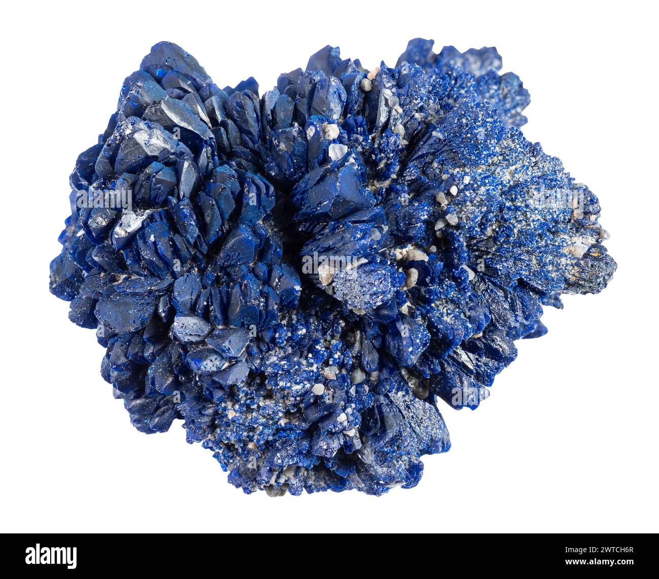 specimen of natural raw azurite mineral cutout on white background ...