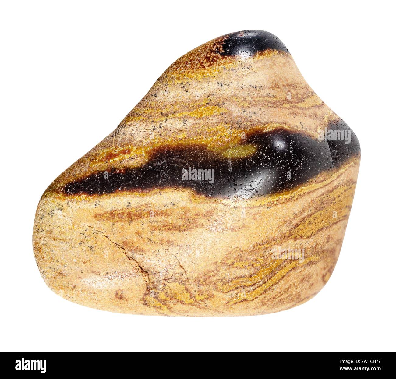 specimen of natural tumbled tuffaceous sandstone mineral cutout on ...