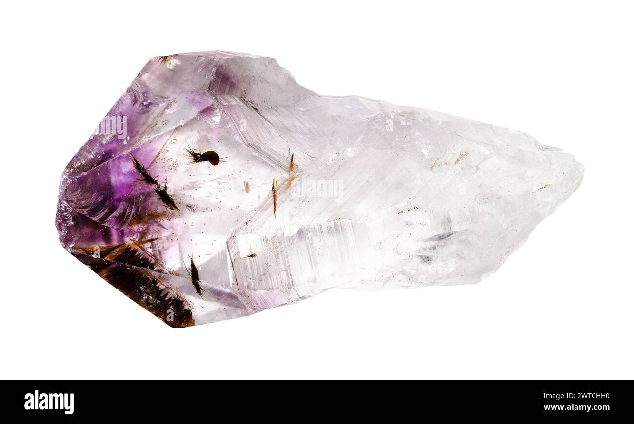 specimen of natural raw amethyst quartz crystal cutout on white ...