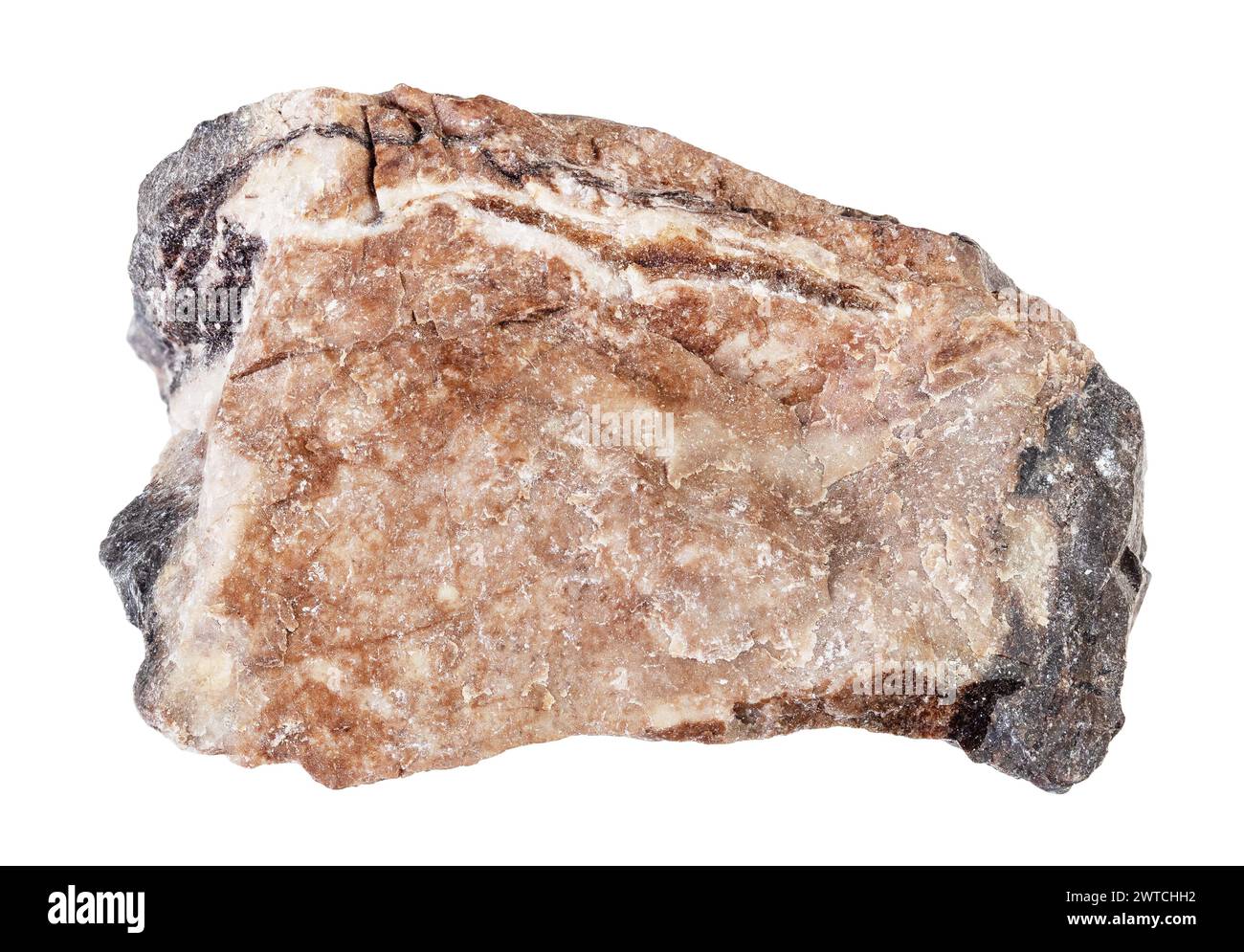 specimen of natural raw rhodonite rock cutout on white background Stock ...