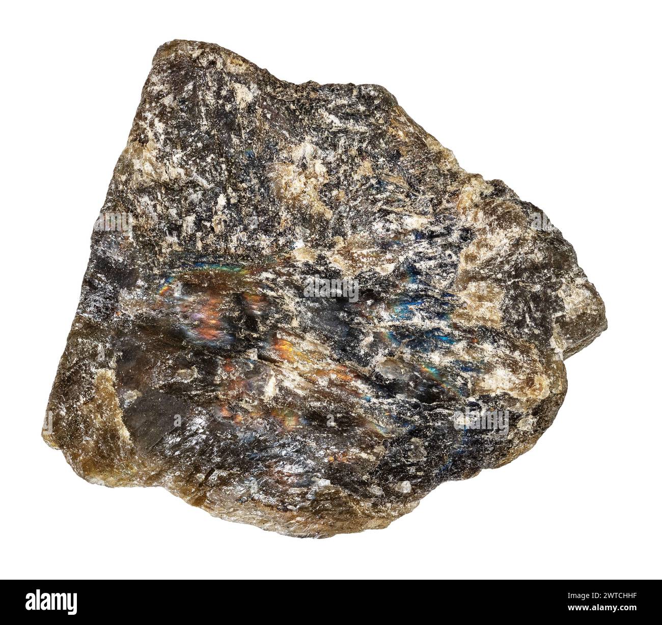 specimen of natural rough dark green labradorite mineral cutout on ...