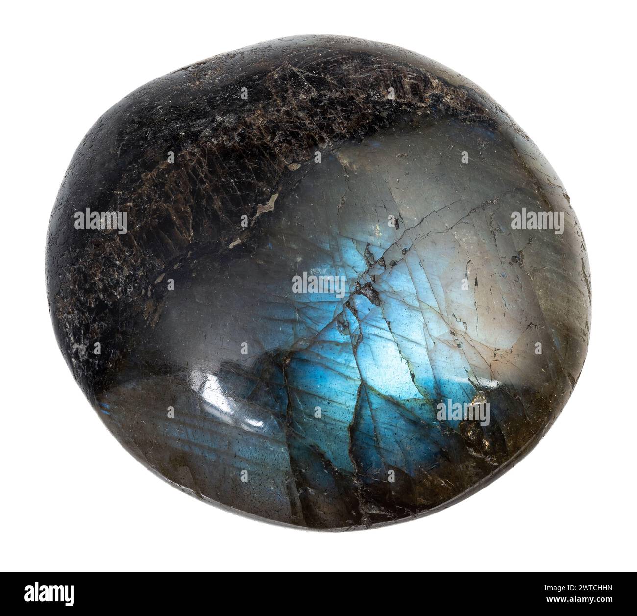 specimen of natural polished labradorite gem stone cutout on white ...